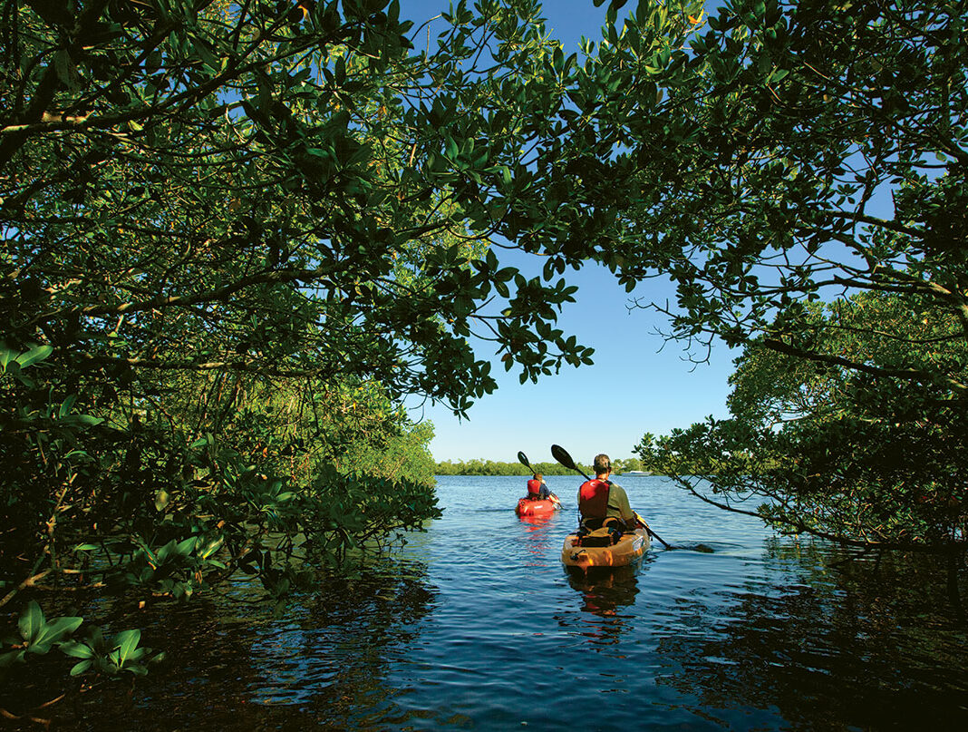 6 Best Places To Kayak With Manatees - Paddling Magazine