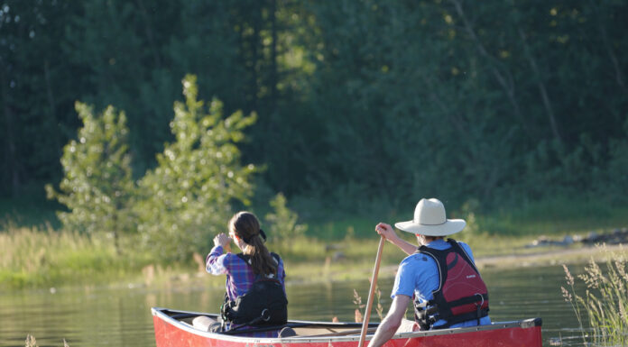 How To Canoe: Learn The Basics Of Launching, Paddling, Safety & More ...