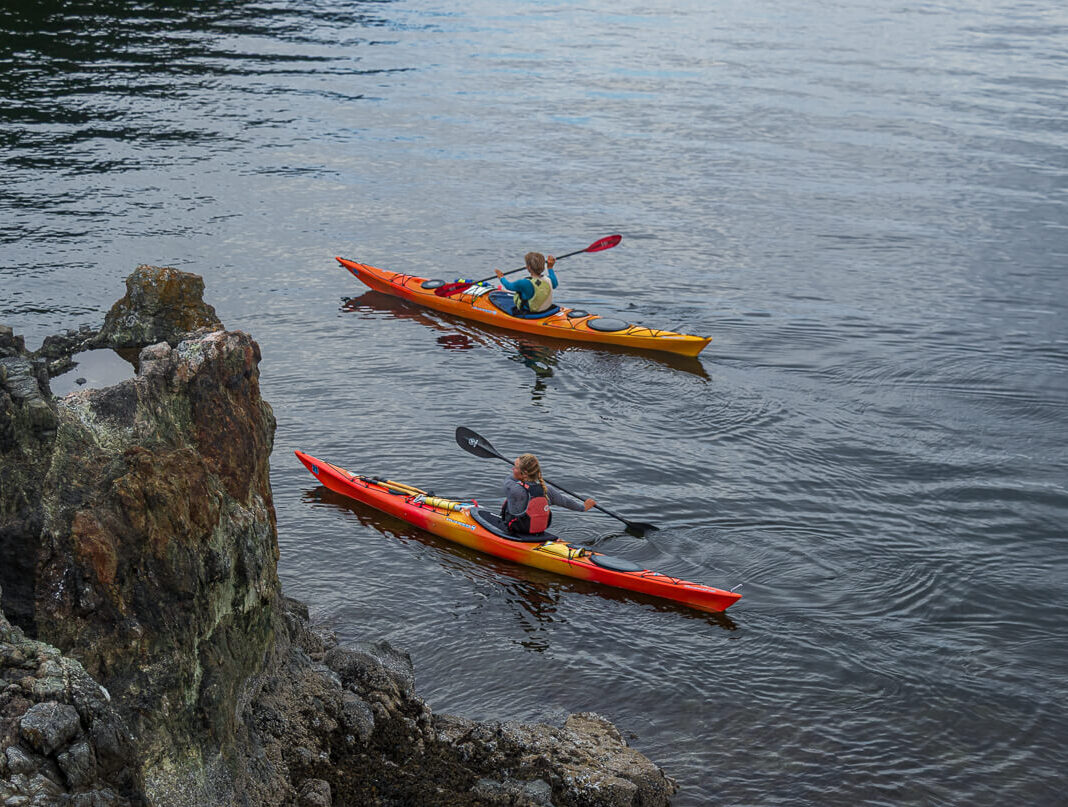 Where To Buy A Kayak: Best Places To Shop Online & In-Person- Paddling ...